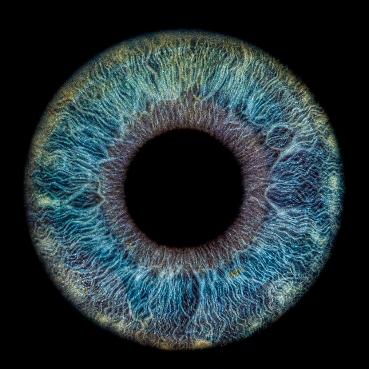 ZK-MEDIEN // IRISFOTOGRAFIE. Dein Auge - Dein Kunstwerk.